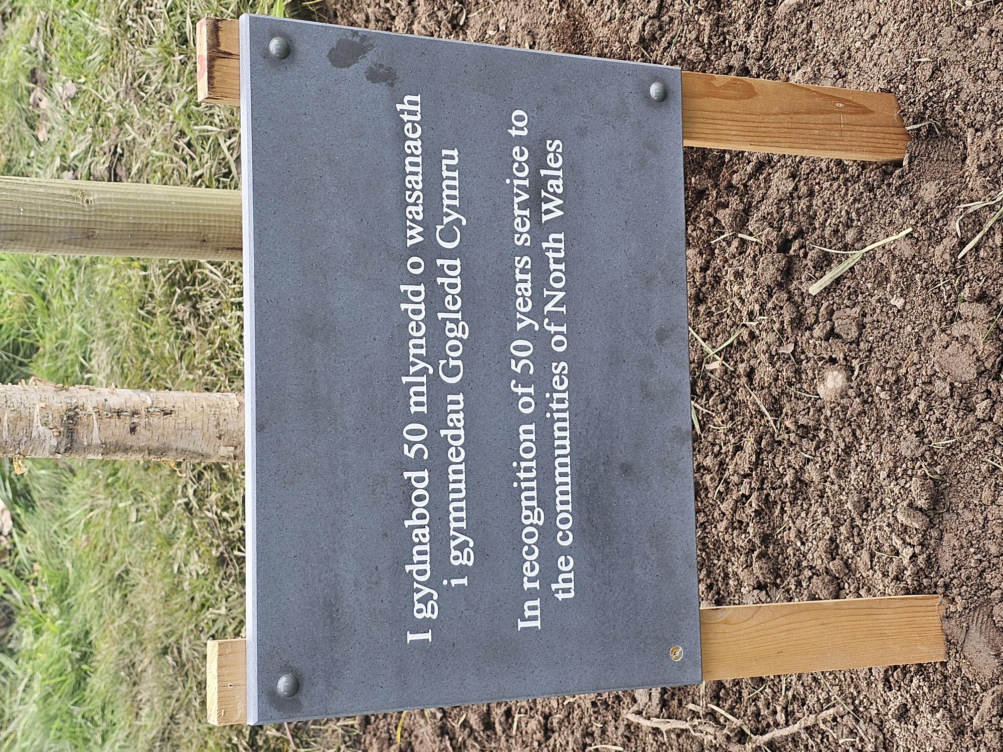 Tree planted to commemorate NWP’s 50th anniversary | North Wales Police